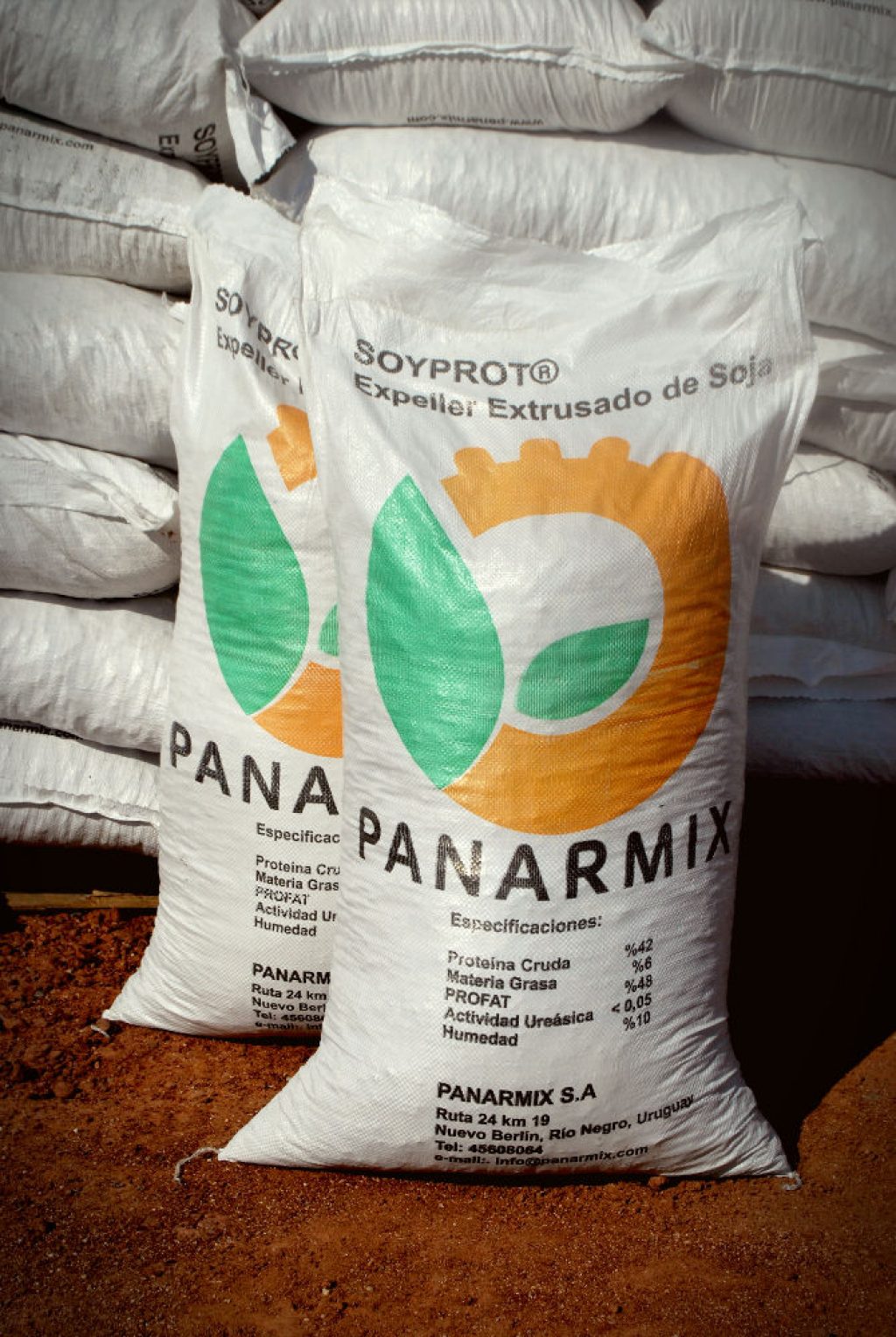 Conociendo los coproductos de la soja: expeller, extrusado, pellet ...